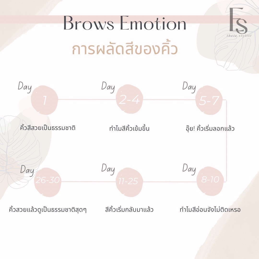 Esthete.stylist สักคิ้วลายเส้นธรรมชาติ - เราคือผู้เชี่ยวชาญการสักเชิงการแพทย์กึ่งถาวร ใช้ ...